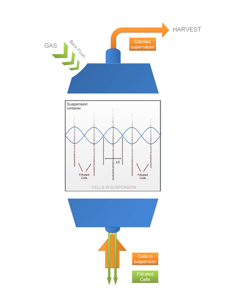 CYTOPERF - Acoustic filtration for cell culture
